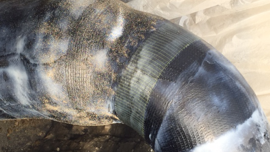 cfrp-wrap | STRUCTURAL